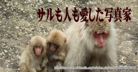 サルも人も愛した写真家 珠洲たのしい授業の会