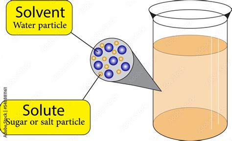 Solvent Solute Molecules Salt Sugar And Water Mixture Homogeneous Mixture Solution Under