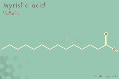 Infografica Della Molecola Dellacido Miristico Illustrazione