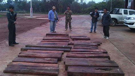 ឈើគ្រញូងថៃជាច្រើនផ្ទាំងត្រៀមចេញមកកម្ពុជា តែរថយន្តត្រូវជួបបញ្ហា សម្លេងសហគមន៍ខ្មែរ