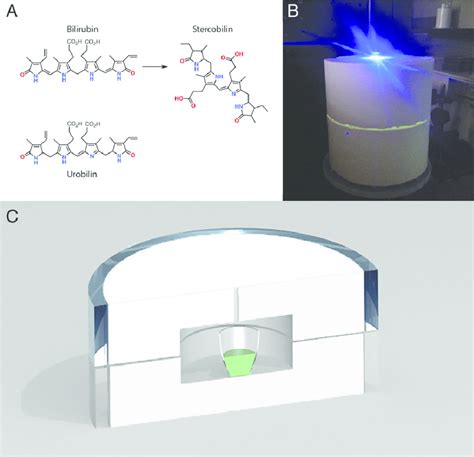 A Chemical Structure Of Bilirubin Stercobilin And Urobilin These