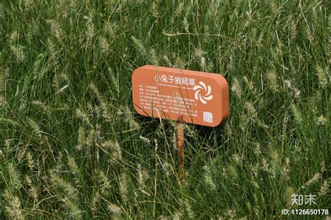 现代公园景观导视牌su模型下载【id 1126650178】 知末su模型网