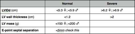 Echo Lv Measurements Semashow Com
