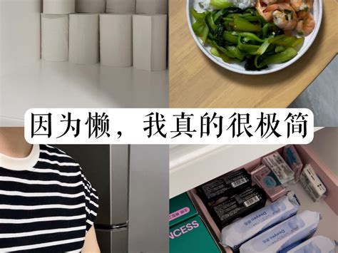 我断舍离掉了家务为什么说懒人适合极简生活 极简的Crush 极简的Crush 哔哩哔哩视频