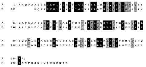 Sequence Alignment Of Dihydroneopterin Triphosphate Epimerase Of E Download Scientific Diagram