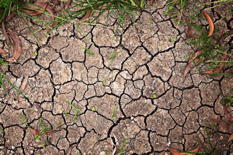 Ground Stock Image Colourbox