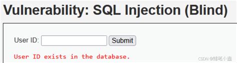 Dvwa靶场第九关：sql注⼊（盲注）（sql Injection Blind）dvwa Sql盲注 Csdn博客