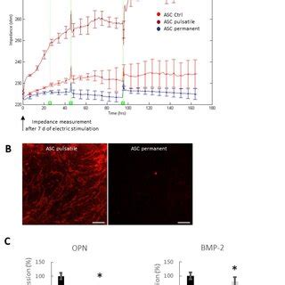 Impedance Measurements At KHz After Three Days Of Electrical Download Scientific Diagram