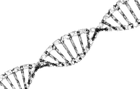 La Thérapie Génique Nouvelle Révolution Médicale Le Devoir