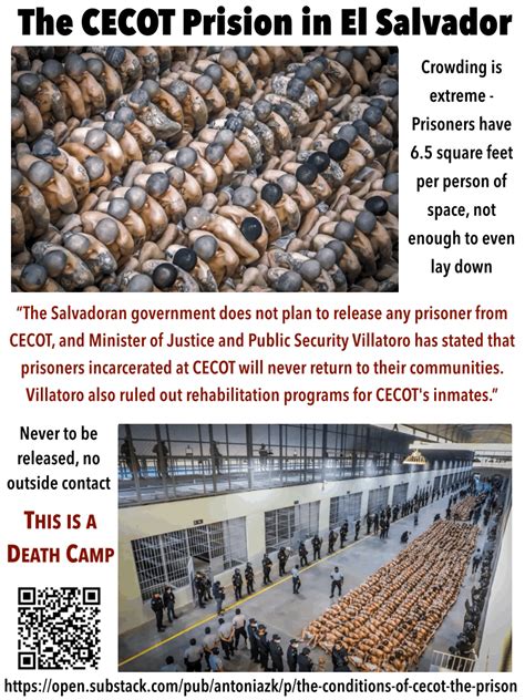 This Is The Cecot Prison In El Salvadore Album On Imgur