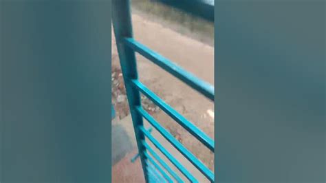 গ্রামে মুরগি পালন। Youtube