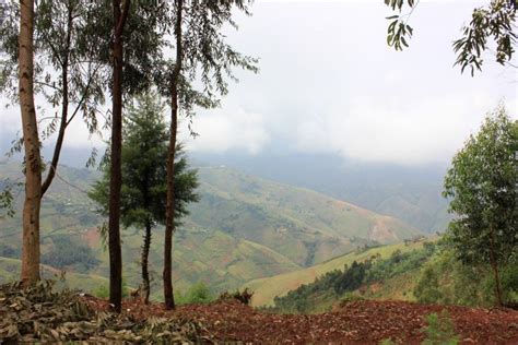 Habitat Connectivity Corridor Project Forest Health Alliance