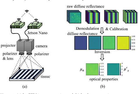 Figure 1 From Extracting Tissue Optical Properties And Detecting