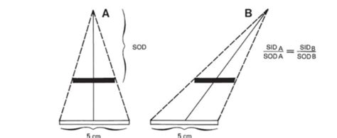 Lecture Alignment And Motion Flashcards Quizlet
