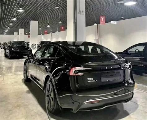 테슬라 모델y 주니퍼 주행거리 예상가격 출시일 언제 스파이샷 공개 더드림뉴스