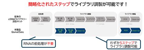 Quantseq 3 Mrna Seq V2 Library Prep Kit Fwd With Udi 次世代シーケンサー用ライブラリー調製キット 多検体の網羅的な遺伝子発現解析