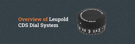 Leupold Cds Dial Problems And How To Fix Them [2022]