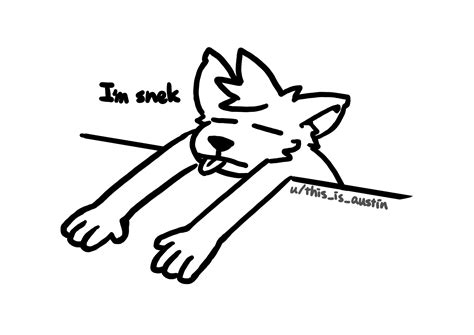 Lazy Irl R Furry Irl