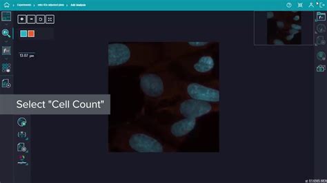 Cell Counting Using Automated Cell Imaging Molecular Devices