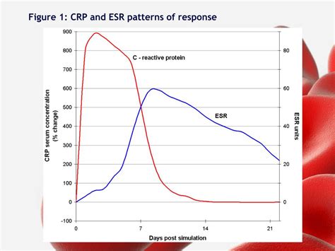 Esr Vs Crp Timing At Taj Wheelwright Blog