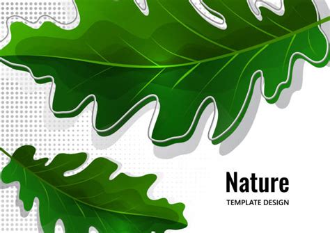 110 Closed Ecosystem Stock Illustrations Royalty Free Vector Graphics
