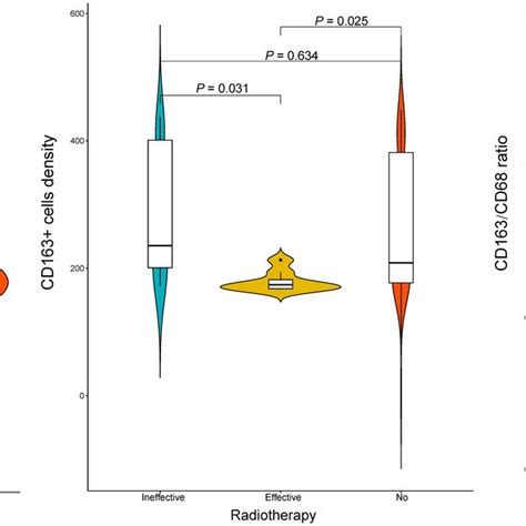 Chondroid Type Matrix With Chicken Wire Calcification Arrow He ×20 Download Scientific Diagram