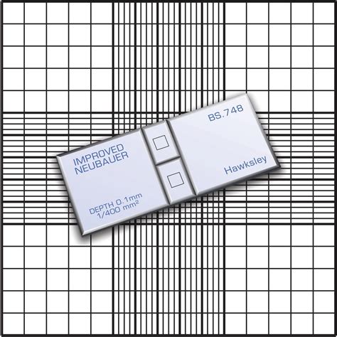 Neubauer Improved Haemocytometer Counting Chamber Hemocytometer Hawksley