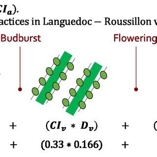 Example Of Coverage Index Calculation For Service Plant Management In Download Scientific