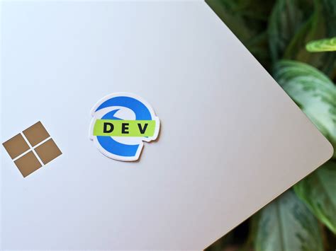 Microsoft Edge Dev Updated With New Features And More Fluent Design