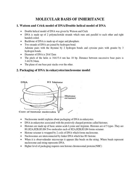 Molecular Basis Of Inheritance Pdf Operon Translation Biology