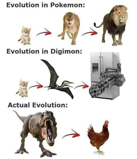 Evolution In Pokemon Evolution In Digimon Actual Evolution Ifunny