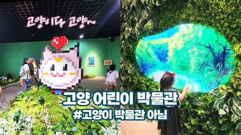 고양 어린이 박물관에 다녀왔어요 고양이 박물관 아니에요 아이그루체험 야옹 YouTube