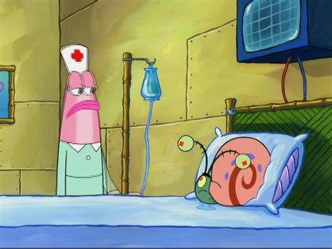 Spongebuddy Mania Spongebob Episode Shellback Shenanigans