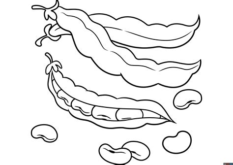 Beans Coloring Page Easy Drawing Guides
