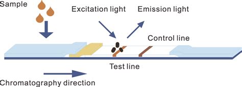 Fia Go Immunofluorescence Analyzer From China Manufacturer Goldsite