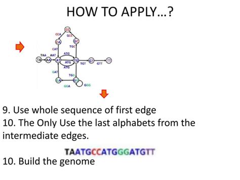 De Bruijn Graphs Pptx