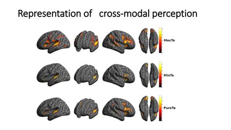 Ppt Teasing Out The Multi Scale Representational Space Of Cross Modal Speech Perception