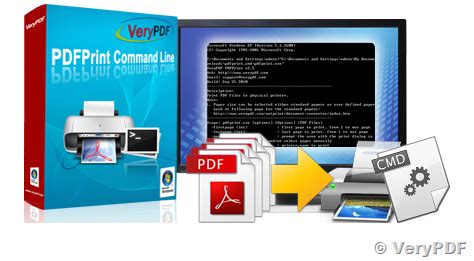Pdfprint Exe Command Line Problem With Copies Create One Print Job