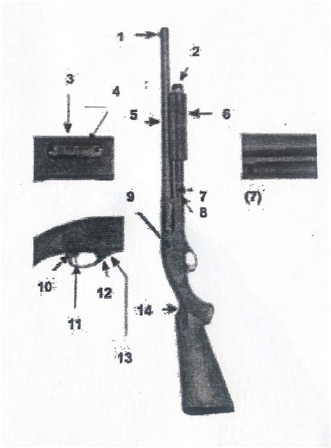 Weapon Nomenclature Diagram Quizlet