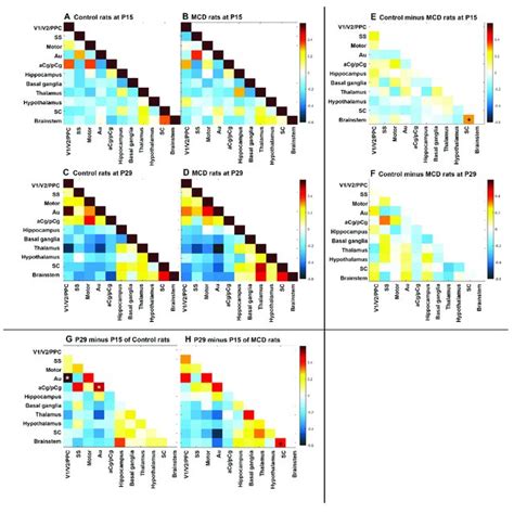 Correlation Coefficient Map Of Functional Connectivity Fc A D