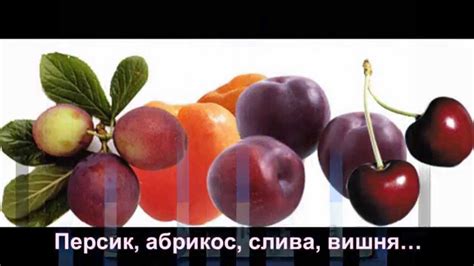 Самый полезный фрукт с косточкой Youtube