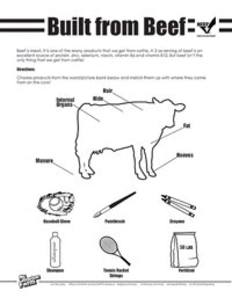 Meat Identification Worksheet At Bob Bormann Blog