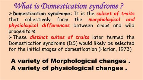 Domestication Of Crop Plants Pptx Gardening Home And Garden