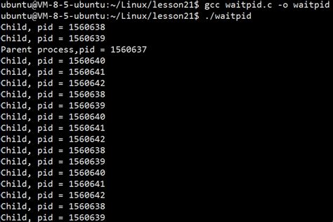linux wait函数 处理僵尸进程 进程回收 廿陆 博客园