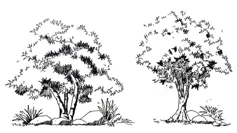 How To Draw Trees With Pen And Ink For Beginners In Landscape
