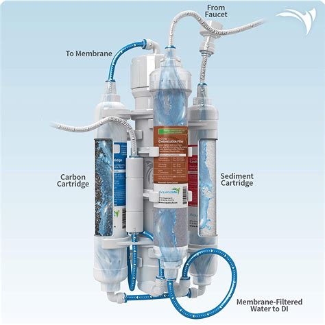 How Do Dwc Systems Work At Barry Alldredge Blog