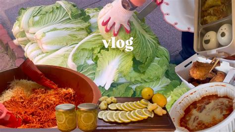 Eng 겨울준비 ️⛄️ 김장하고🥬햇생강으로 청만들고 🍋😷 도시락만들기🍱 다이어트 잠시 눈감아 한달만에 엽떡😭♥️ Youtube