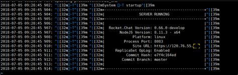 BUG Why I Use Pm2 To Deploy But Address Ip Was Wrong Issue 3773