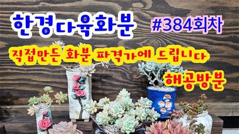 2024년 1월 29일384회차영상 한경다육화분 수제공방분 공방분 다육화분 예쁜화분 화분 다육이 Youtube